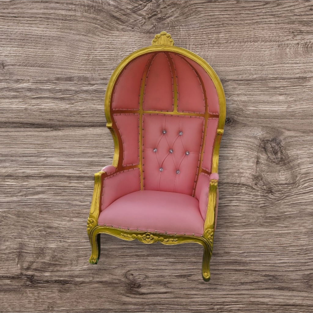 Children Pink Mini Canopy Throne Chair Rental - Party Rental Business